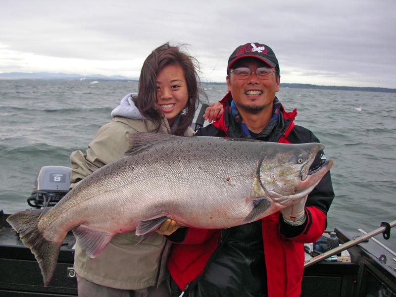 Tules in transition.... | IFish Fishing Forum